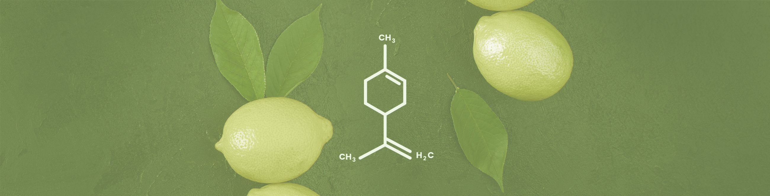 Limonene Terpene Effects & Benefits - The Ultimate Guide